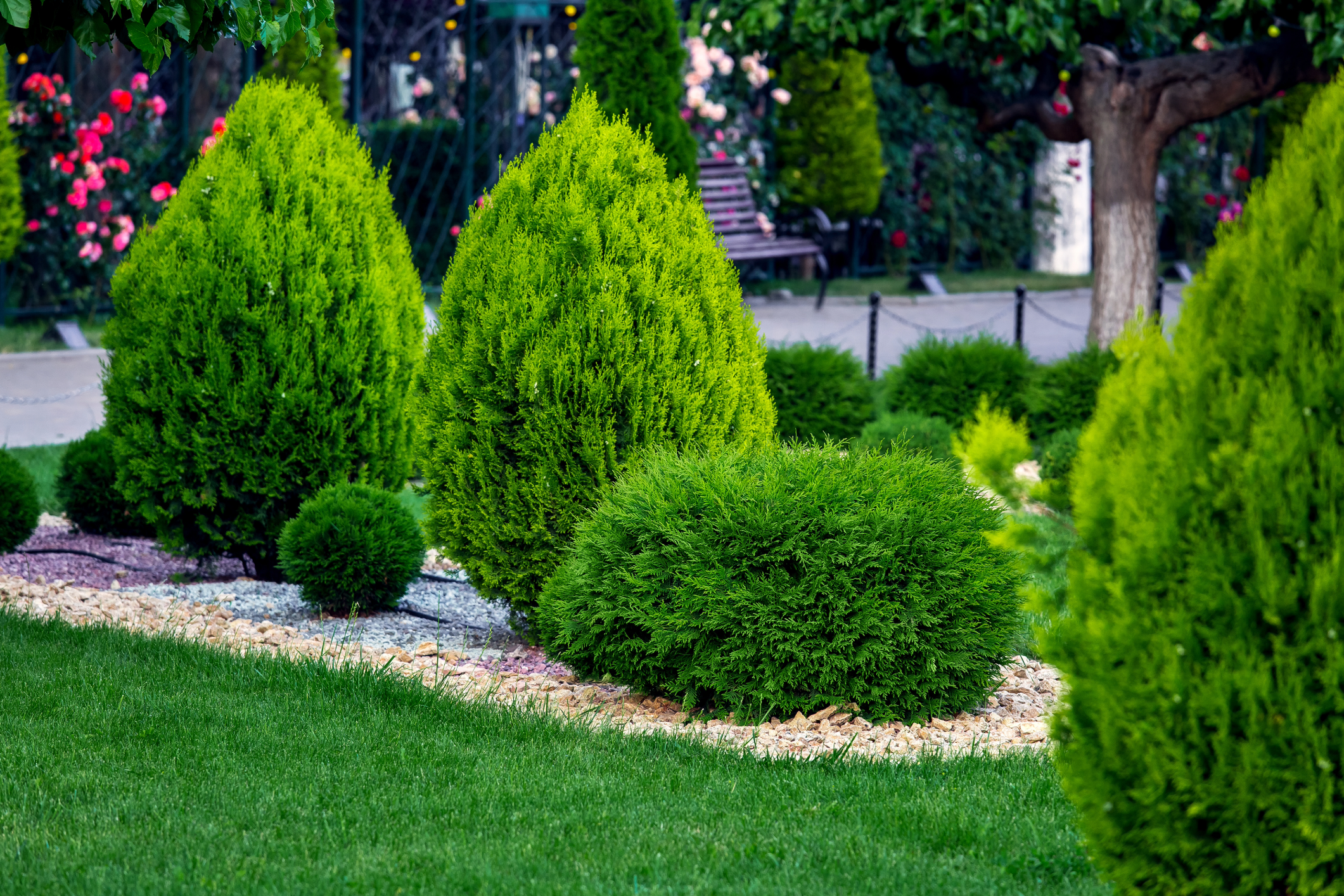 Boulevard Flower Gardens