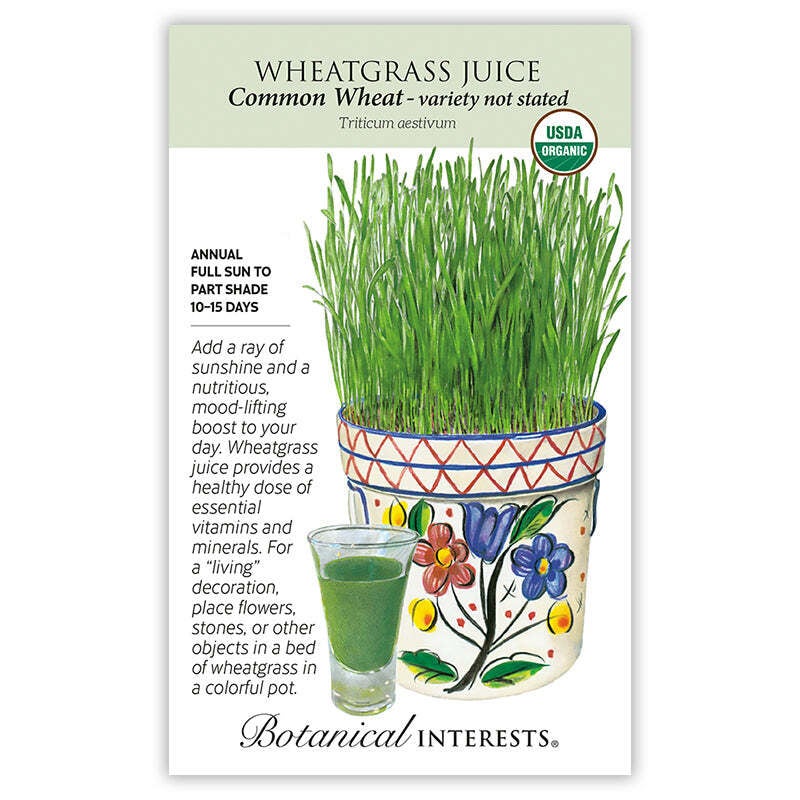 BI Seed, Wheatgrass Organic | Boulevard Flower Gardens